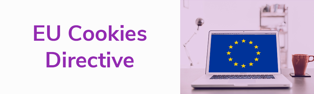 Costs Of Non-Compliance With Privacy Laws - Privacy Policies