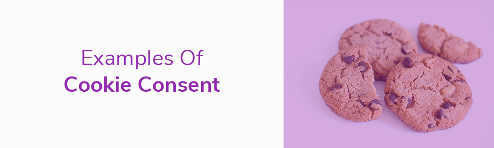 Cookie Consent Examples - Privacy Policies