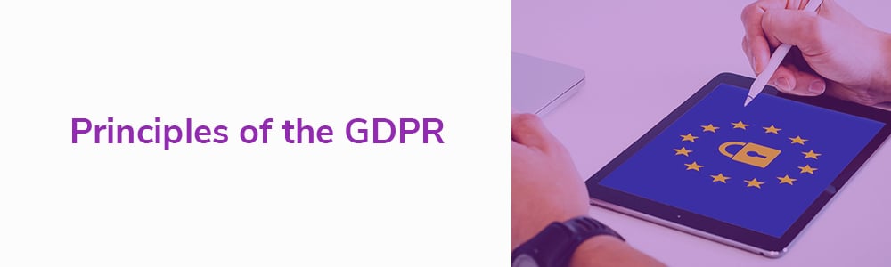 GDPR Privacy Policy for Ecommerce Stores - Privacy Policies